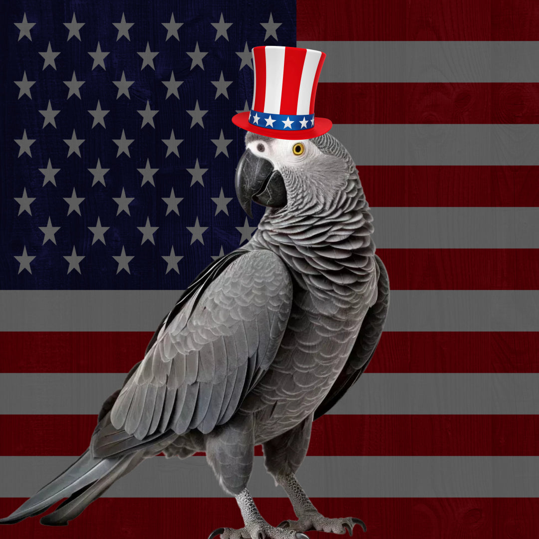 Play Gyms – Cheeky Beaks