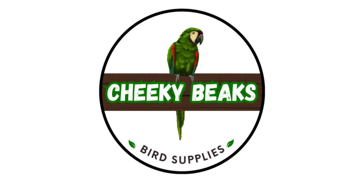 Bird Toys - Cheek Beaks – Cheeky Beaks
