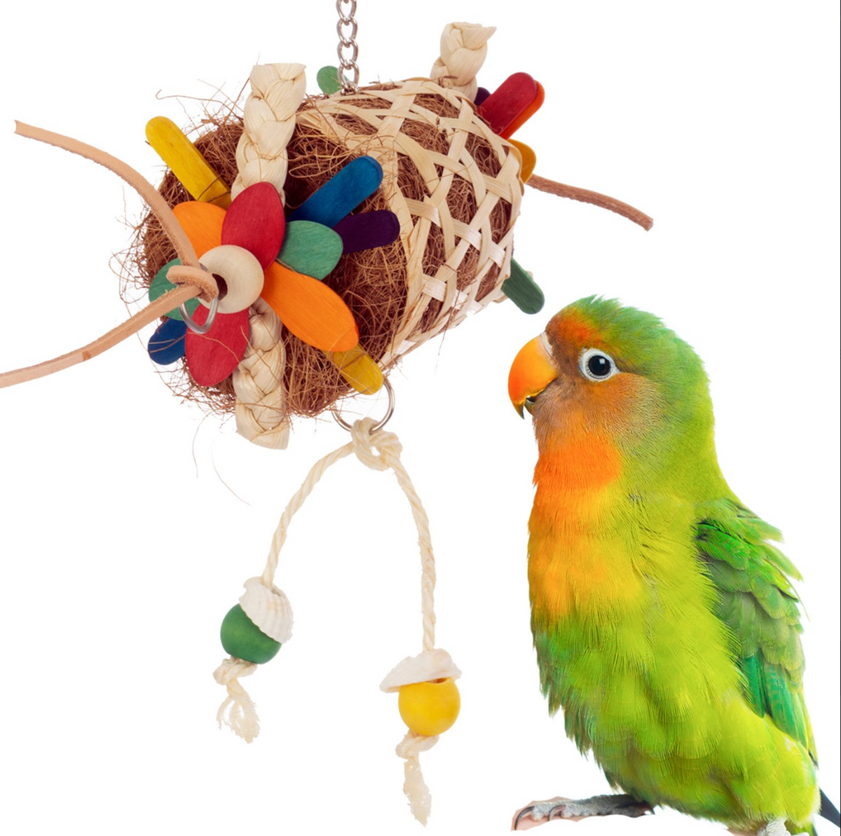 Cheeky Beaks Bird Supplies