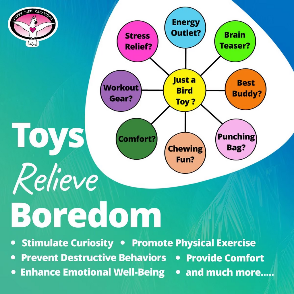 Extra Large Bird Toys – Cheeky Beaks