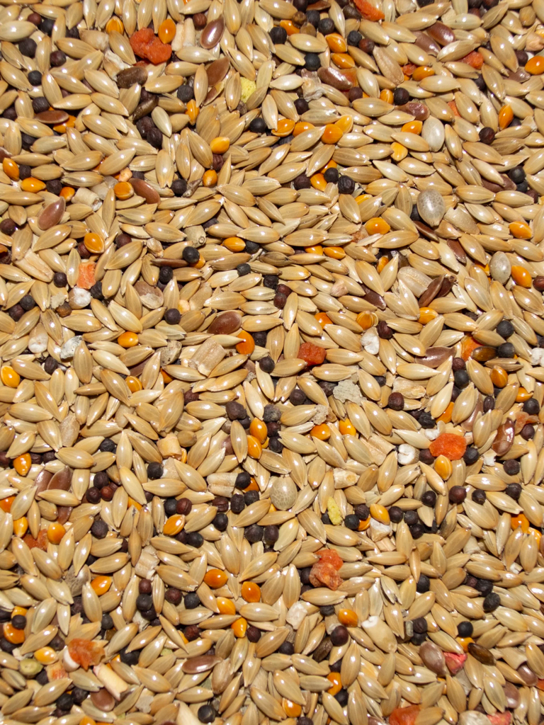 Bird Food & Treats - Cheeky Beaks
